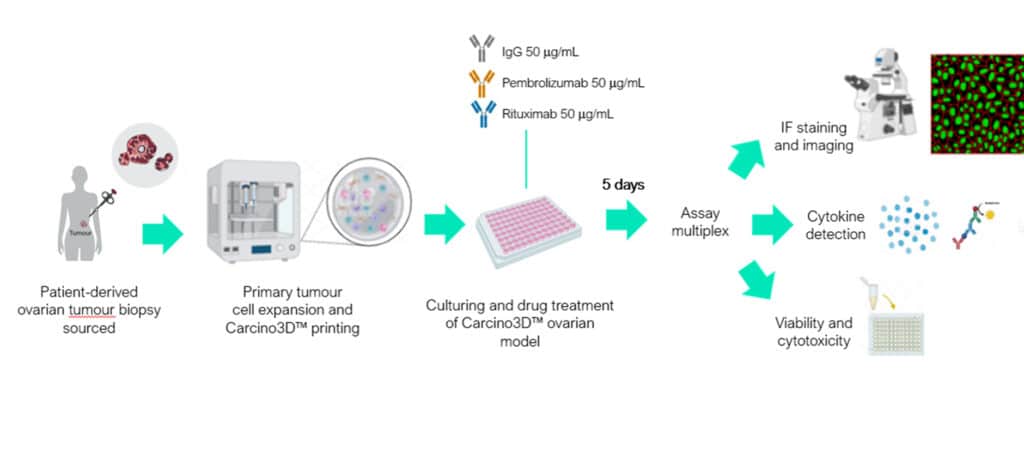 Oncology Assays | Carcinotech
